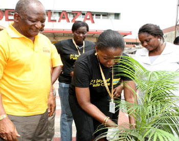 FLOODS: How trees protected Lagos - Fashola - Vanguard News