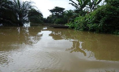 Cameroon, the River Benue and Nigeria - Vanguard News