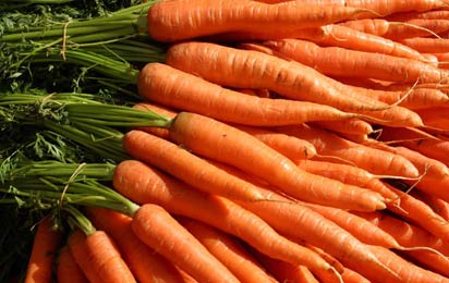 Consumption of carrot prevents colon cancer, others - Expert