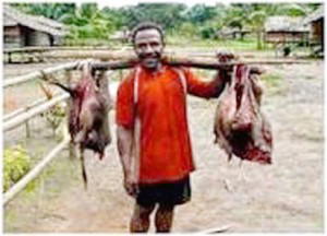 Ebola, Lassa fever and the bush meat connection - Vanguard News