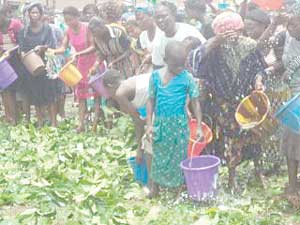 Ondo deaths: Conflict between traditional beliefs and science ...