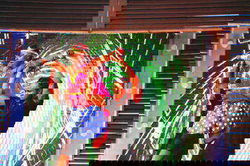 War of the judges as Dance With Peter gives contestants free hand ...