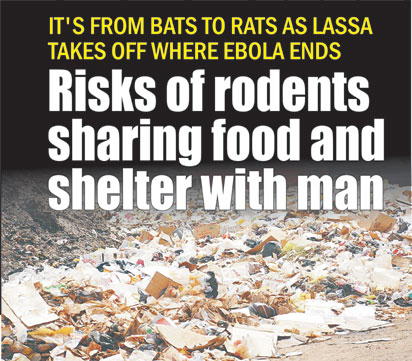 From bats to rats as Lassa takes off where Ebola stoped - Vanguard News