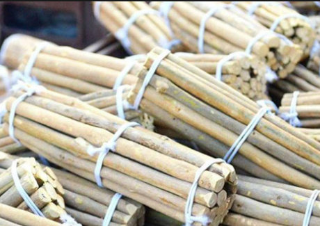 Chewing stick is as good as toothbrush — DTRBN - Vanguard News