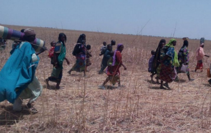 MNJTF captures Damasak, border town - Vanguard News