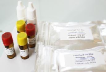 We discover pathogens before they attack — Prof Happi - Vanguard News