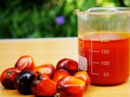 FG targets $500m import savings with new palm oil estates - Vanguard News