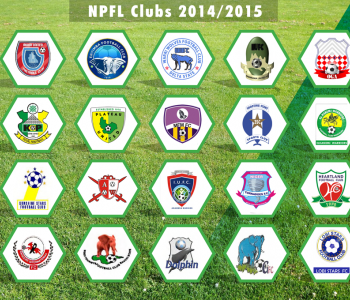 Final Match Day Results in 2015/2016 NPFL - Vanguard News