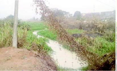 Danger looms in Imo over polluted Nworie River - Vanguard News