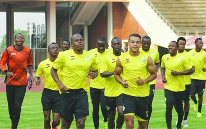 Zimbabwe look to surprise in AFCON - Vanguard News