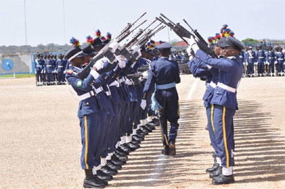 Security Threats: NAF now combat ready - Vanguard News