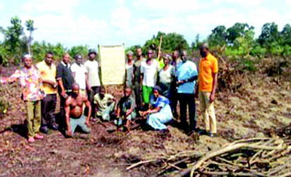 Indigenous Authority triggers freedom of Ogoniland with 59 cassava ...