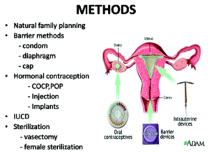 Family Planning key to poverty reduction — UNFPA - Vanguard News