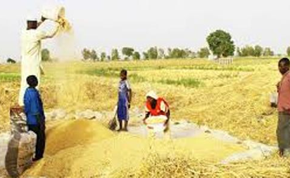 Japanese govt donates 20 rice reapers,20 threshers to Nasarawa farmers