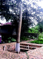 The significance of Oranmiyan staff and Ife Immovable Heritage Resource ...