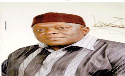 Emelumba: Pushing for participatory representation - Vanguard News