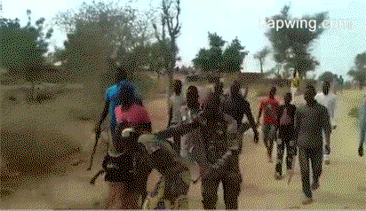 Cameroon probes video showing extra-judicial killings - Vanguard News