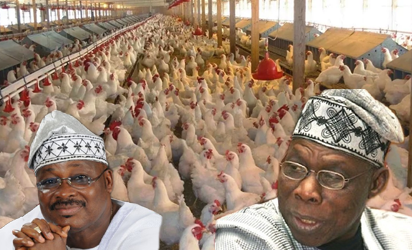 Closure of Obasanjo farms, others not political - Oyo govt - Vanguard News