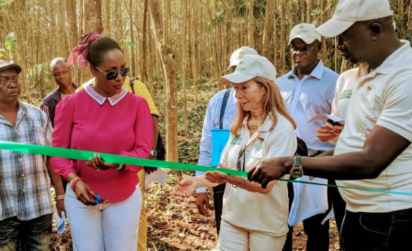 Deforestation : Edo, NGO to regenerate 400ha of forest reserve ...