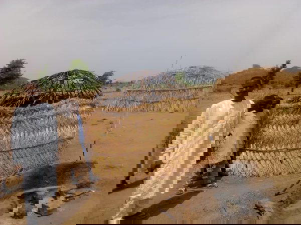 Revealed! True story of onion leaves-eating Bauchi IDPs