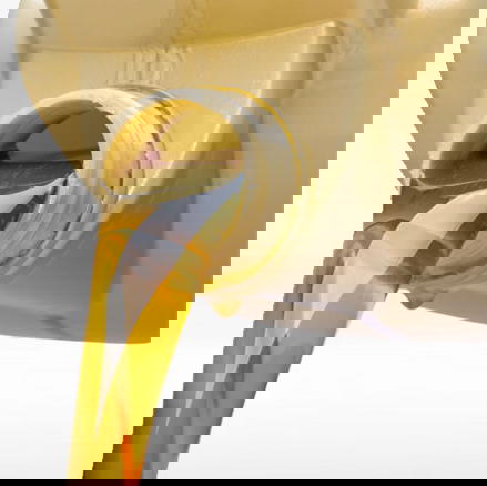 WinPart by CFAO now distributes Motul lubricant In Nigeria - Vanguard News