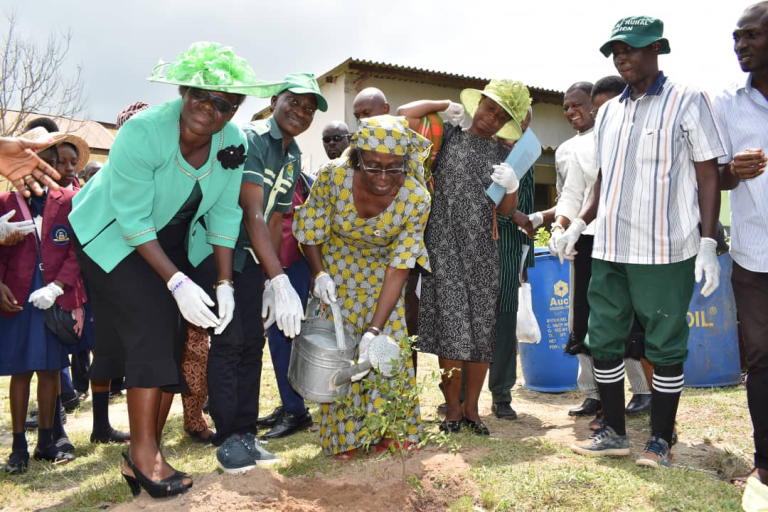 Afforestation very important in combating climate change effect, global ...