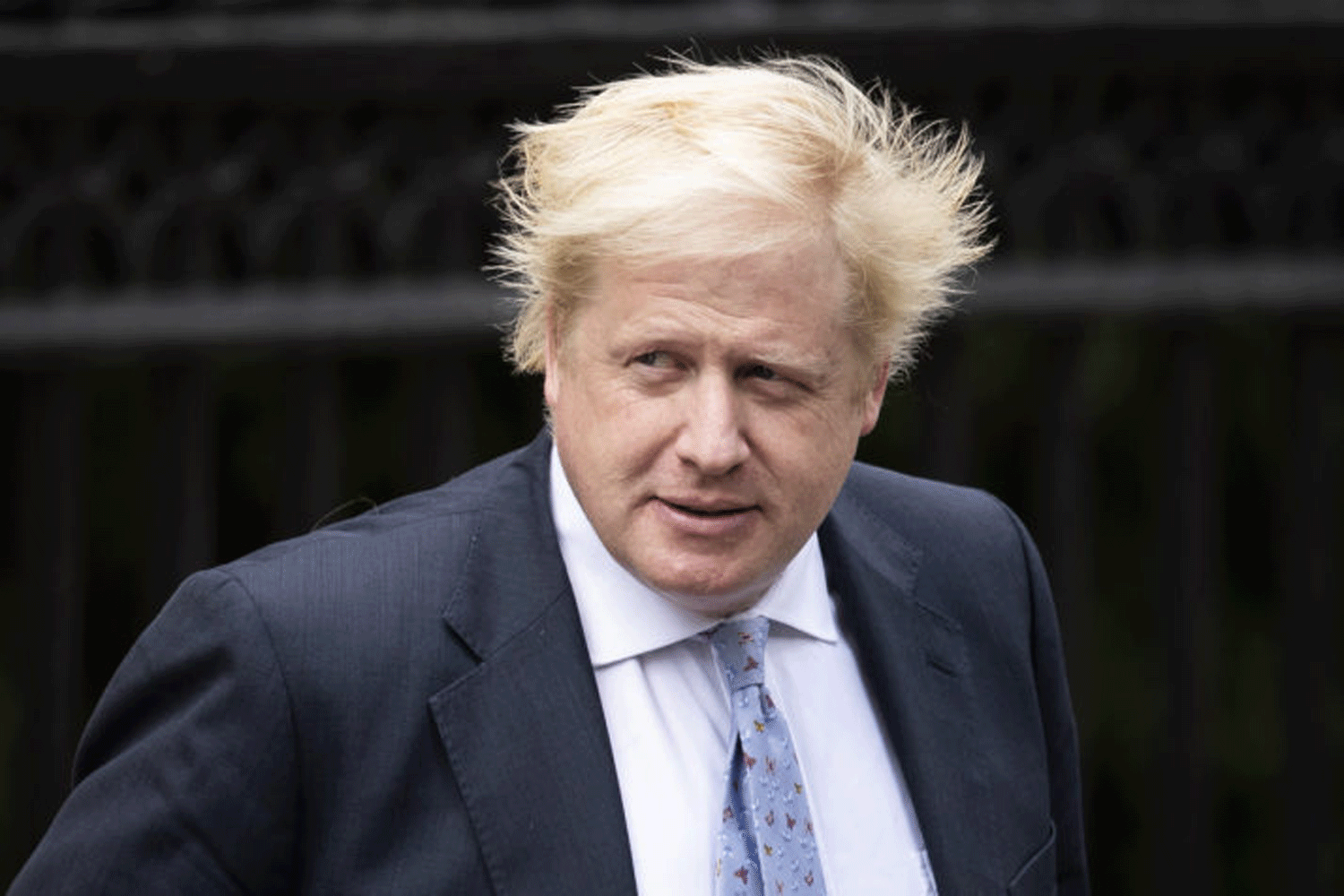 Former UK PM Boris Johnson becomes father again - Vanguard News Former UK PM Boris Johnson becomes father again - Vanguard News
