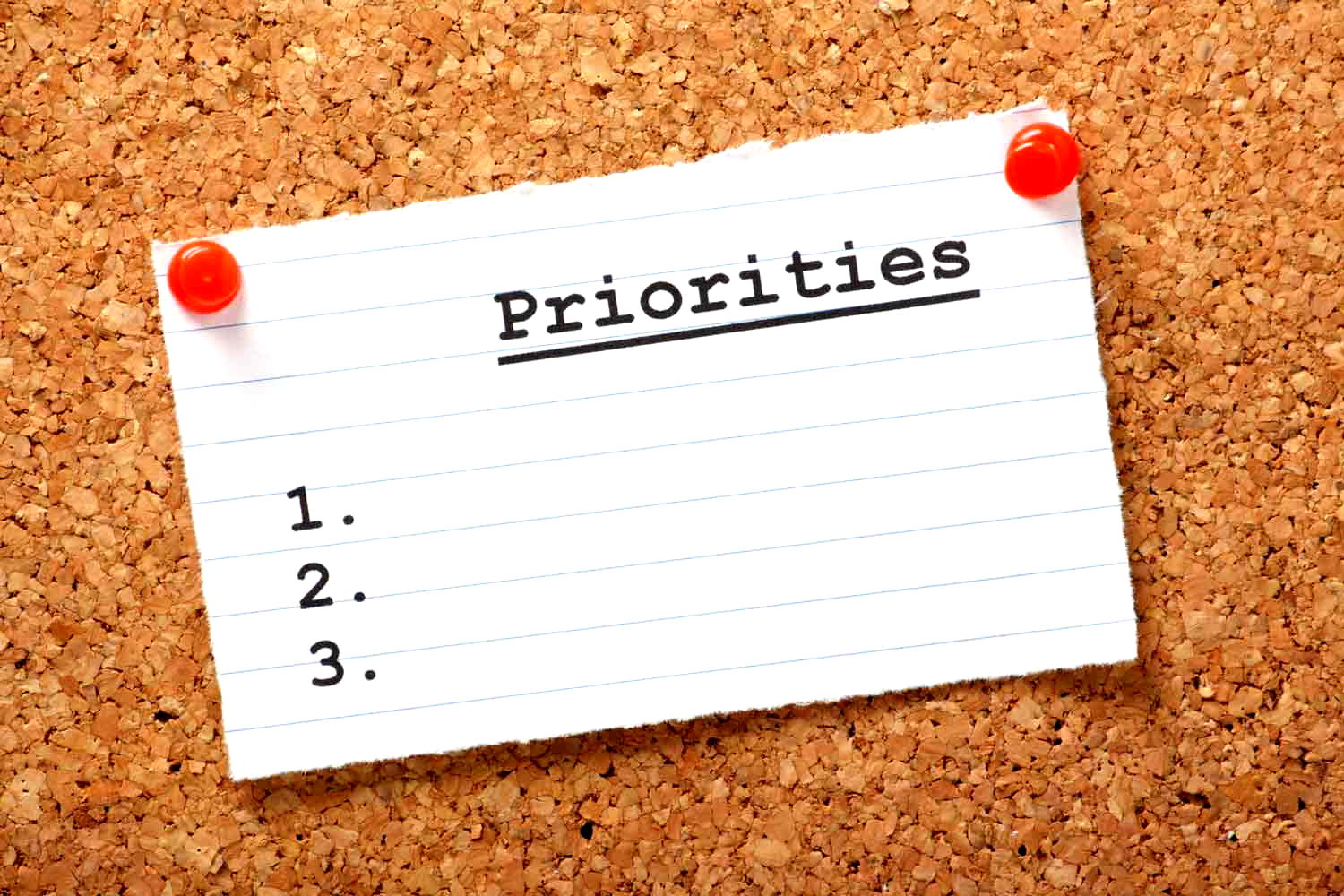 Keys to Maximizing PrioritiesKeys to Maximizing Priorities -Vanguard News