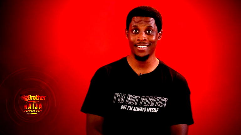 BBNaija (S4): Seyi becomes Head of House again - Vanguard News