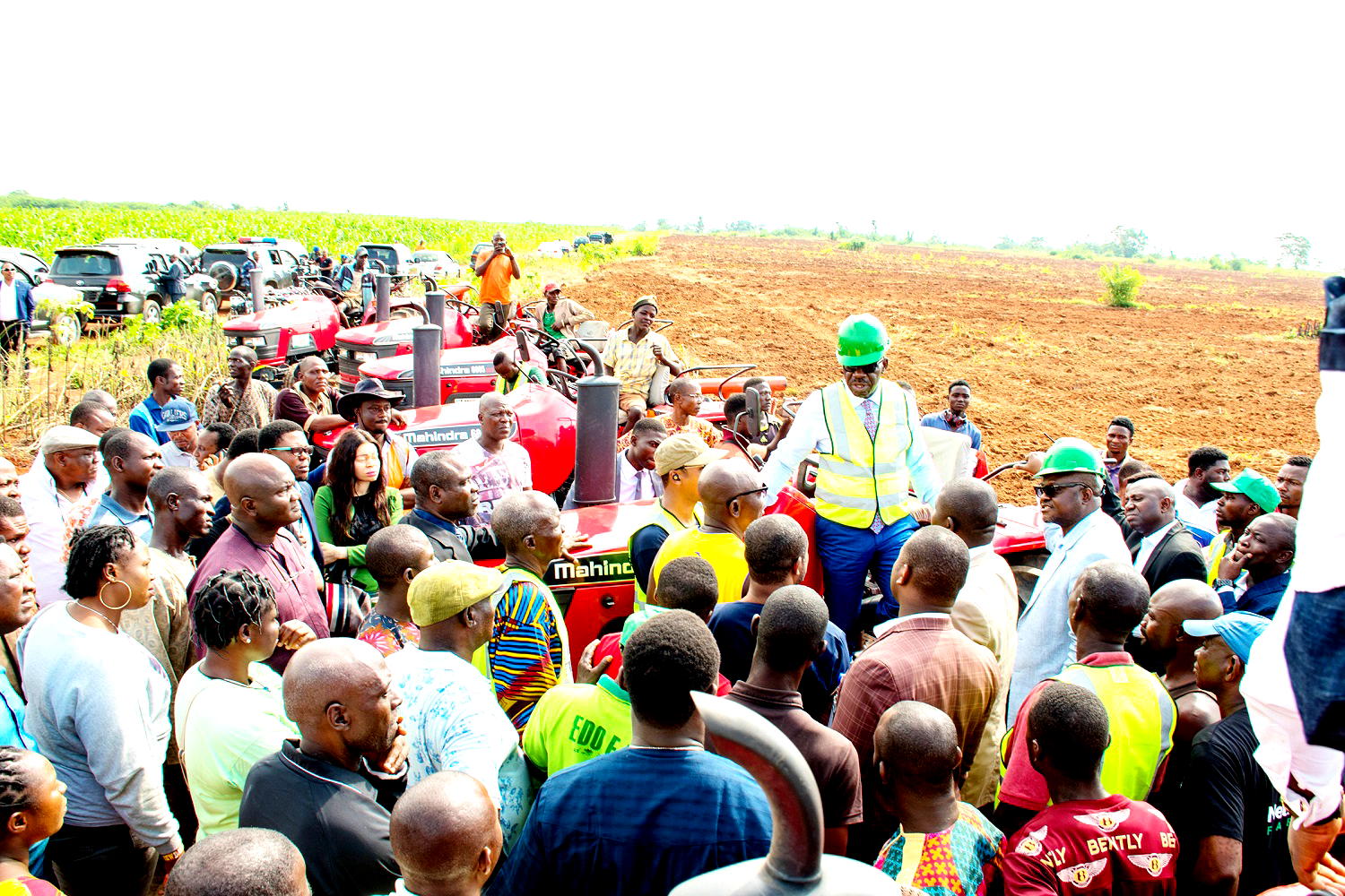 Over 10,600ha of land under cultivation in Edo state to benefit over ...