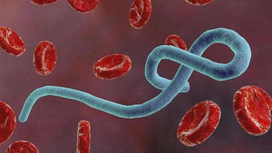 Ebola: PSN orders pharmacies to activate emergency surveillance ...