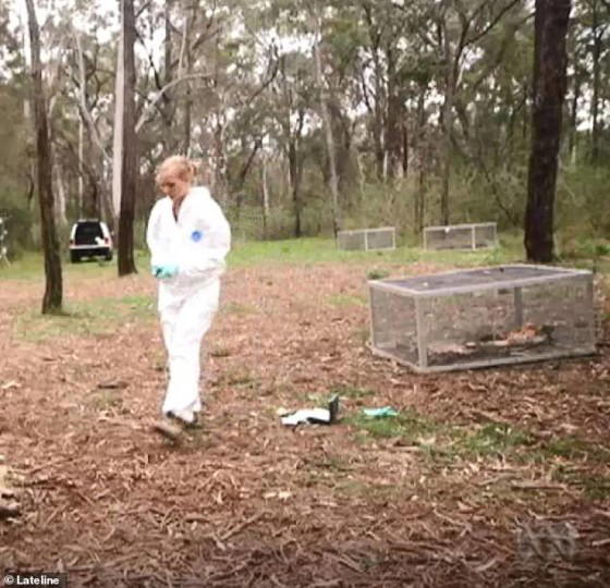 'Human corpses move around significantly for a year after death'