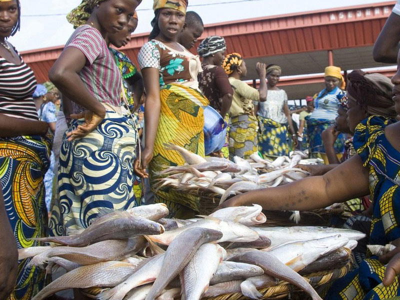 Nigeria spends $1.2bn to import fish annually — Emefiele