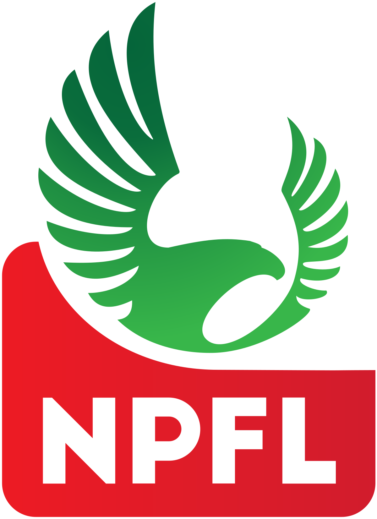 Football: 2019/20 NPFL season set to kick-off November 3