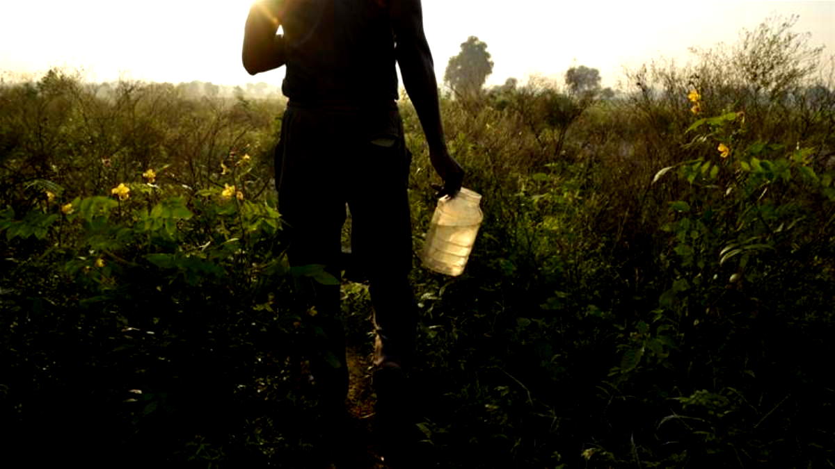 Enugu to end open defecation with public conveniences