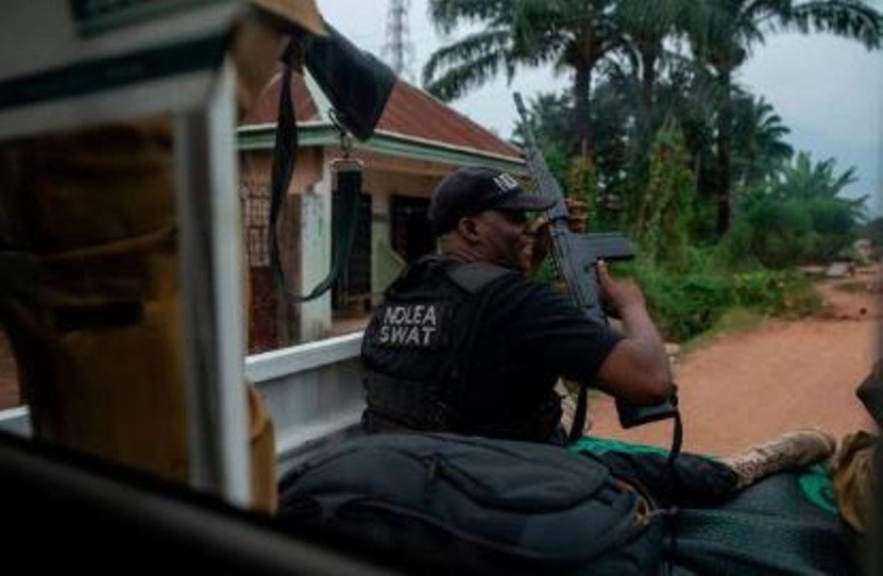 NDLEA destroys 34,560kg of drugs, substances in Ogun - Vanguard News