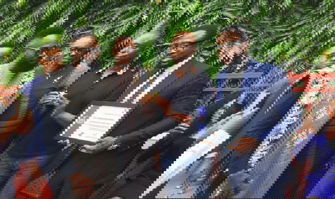 Ned Nwoko bags African Community Developer of the Year Awards