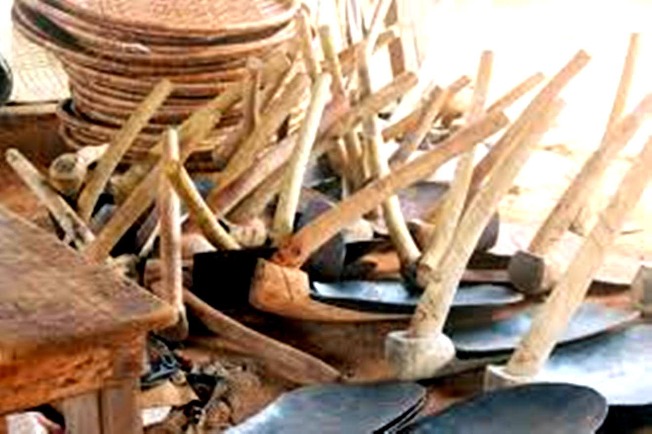 Ugandan MPs divided over distribution of hoes - Vanguard News