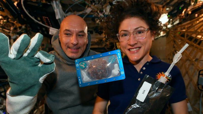 Astronauts bake first cookies in space - Vanguard News
