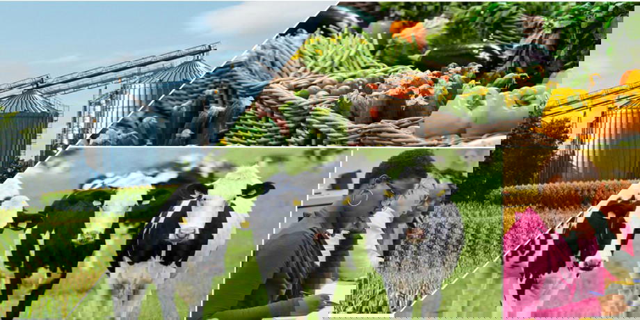 Unlocking productivity and investment opportunities across agribusiness ...