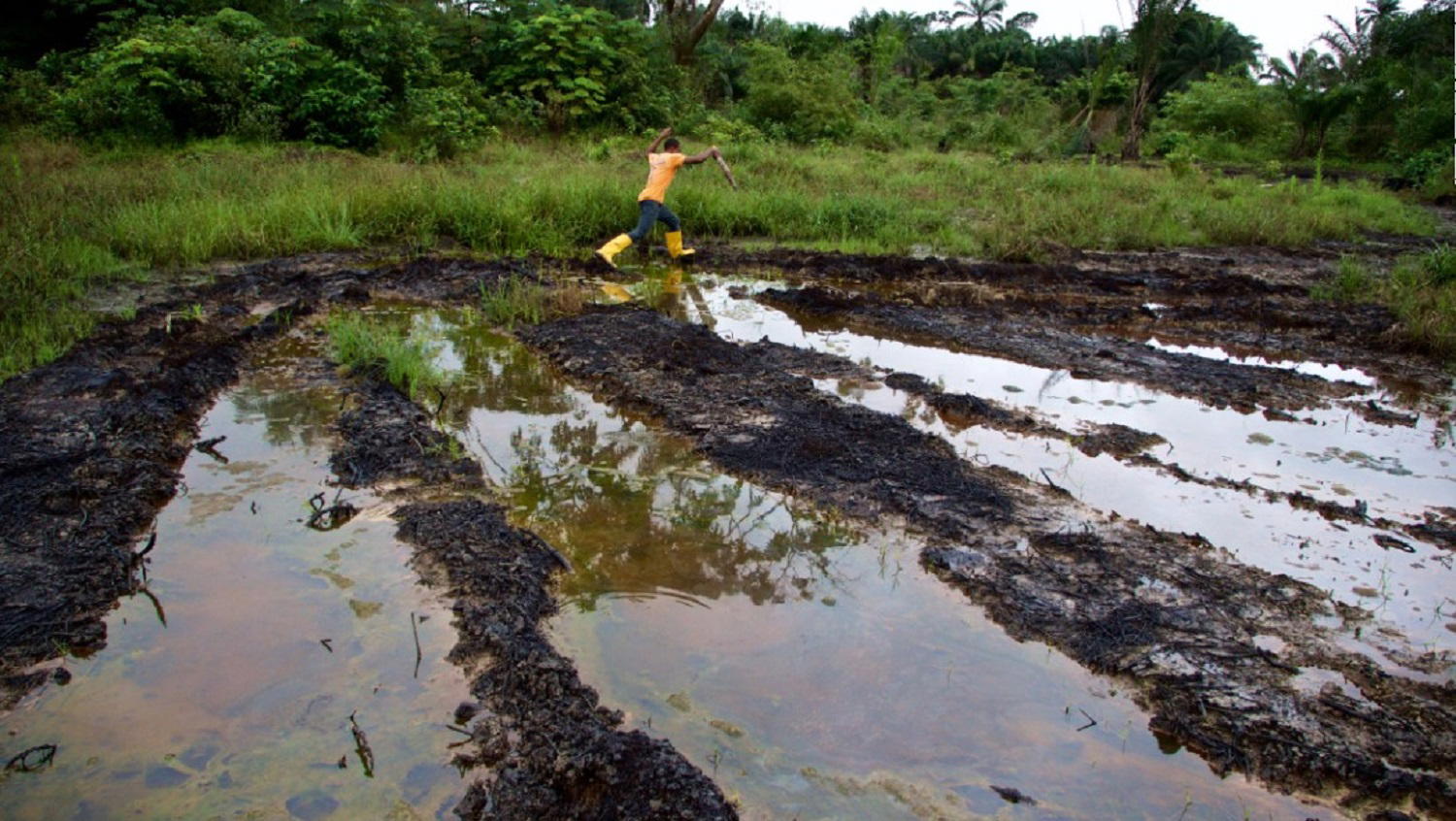 Niger Delta polluted environment facing systematic neglect ― Bassey