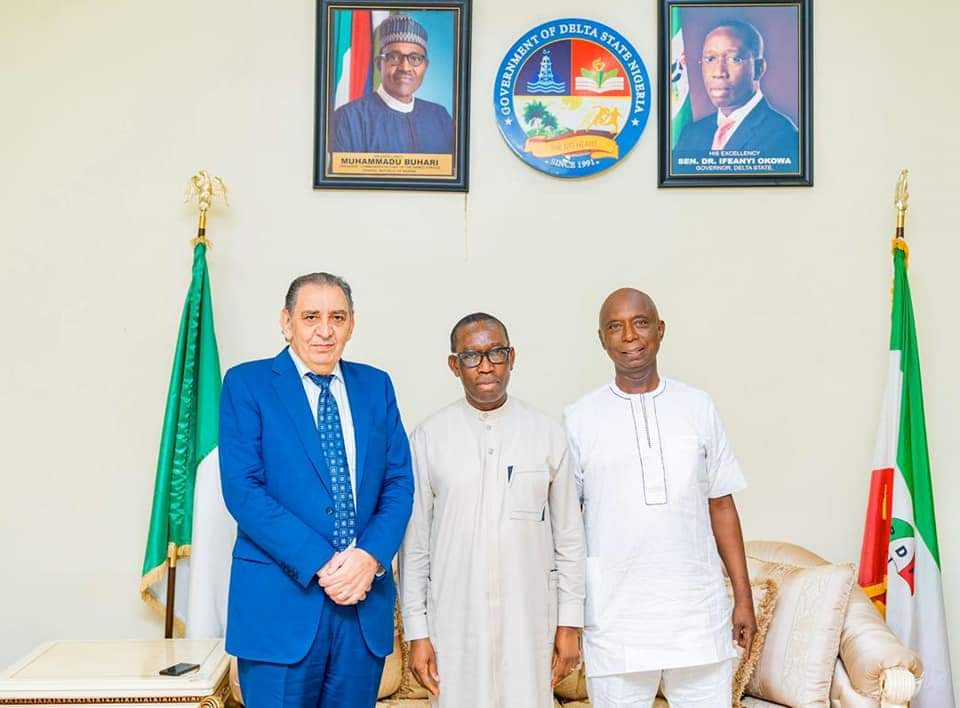 Gov. Okowa has been a success story - Ned Nwoko - Vanguard News