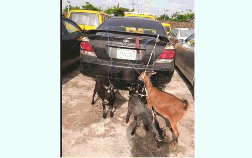 Man escapes lynching for allegedly stealing goat - Vanguard News