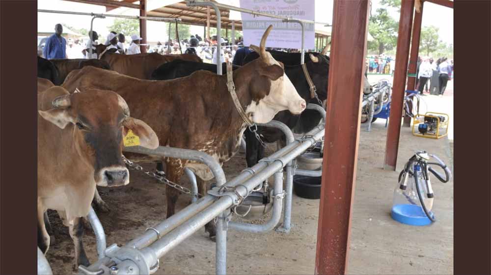 Arla Foods Reiterates Commitment to Dairy Farming Development on World ...