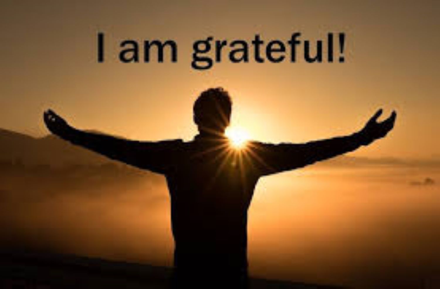 Gratitude: Moment of inspiration (Video) - Vanguard News