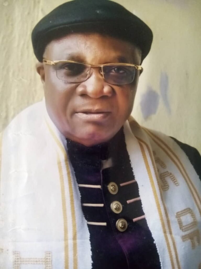 Nigeria is catalyst of Africa's development ― Dr Isibor - Vanguard News