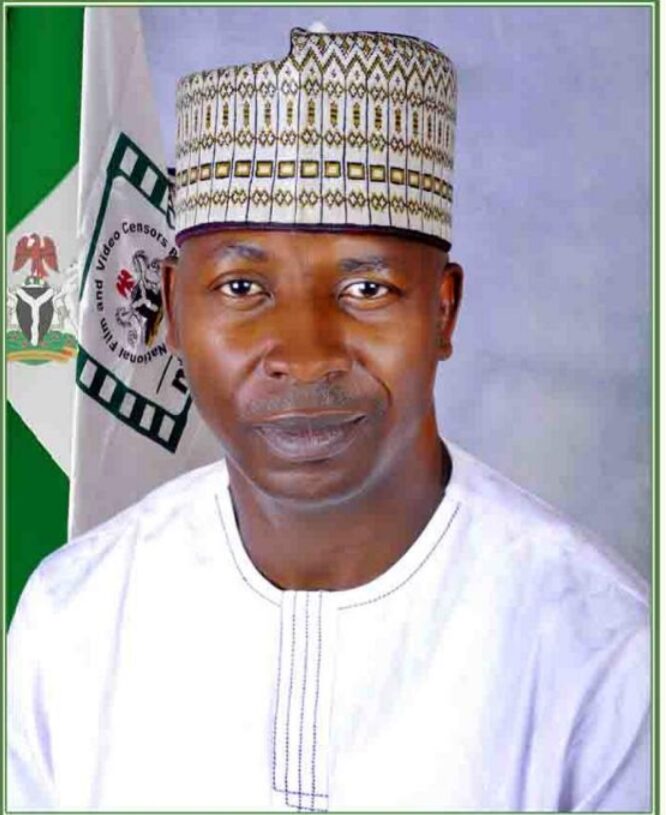 Achieving national integration: The role of film and video - Vanguard News