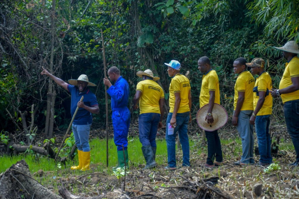 Onunkwo set to inaugurate multimillion dollars agricultural development ...