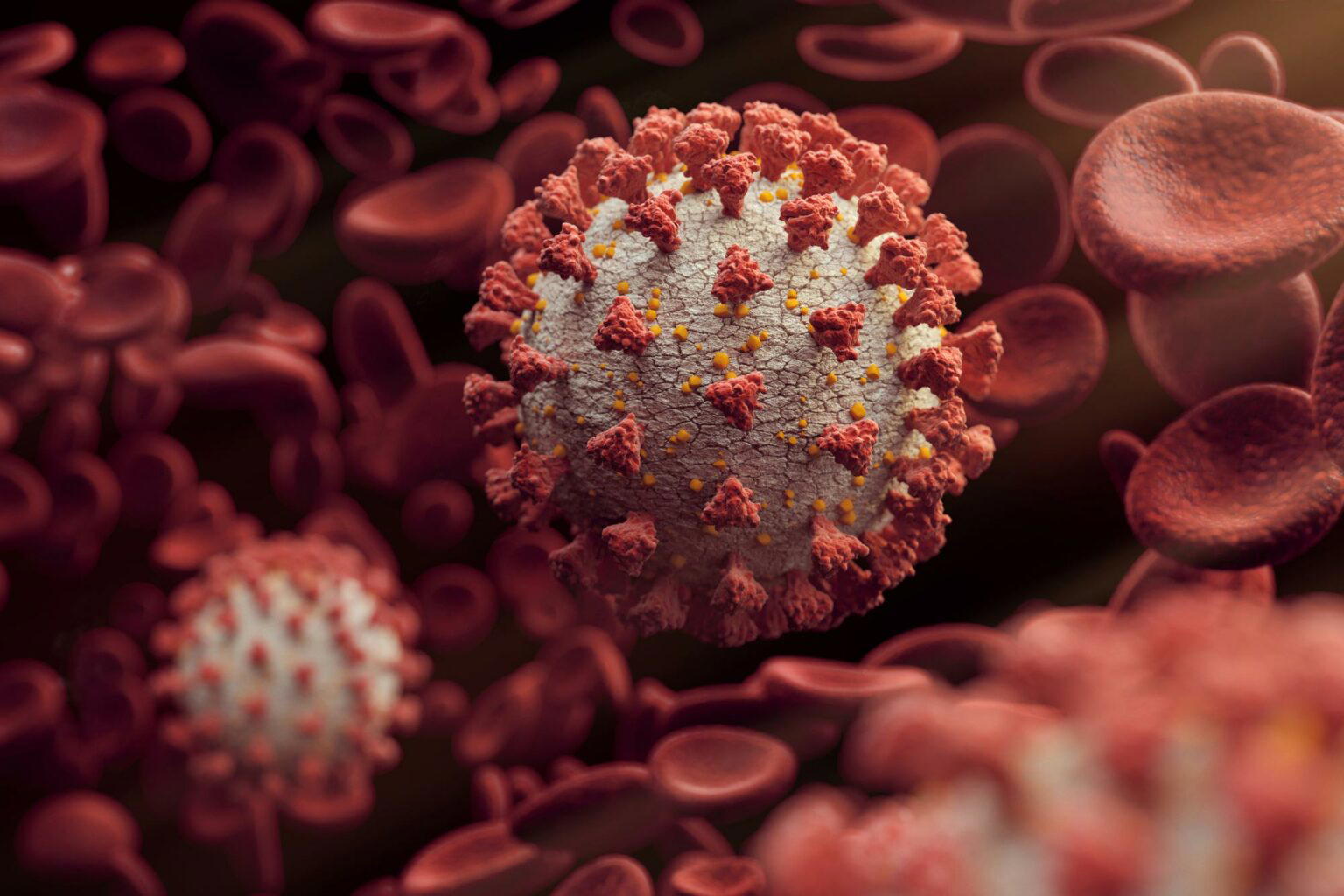 Preventing another COVID-19 outbreak - Vanguard News