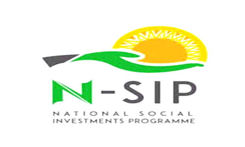 N400bn being spent annually on NSIPs says FG - Vanguard News